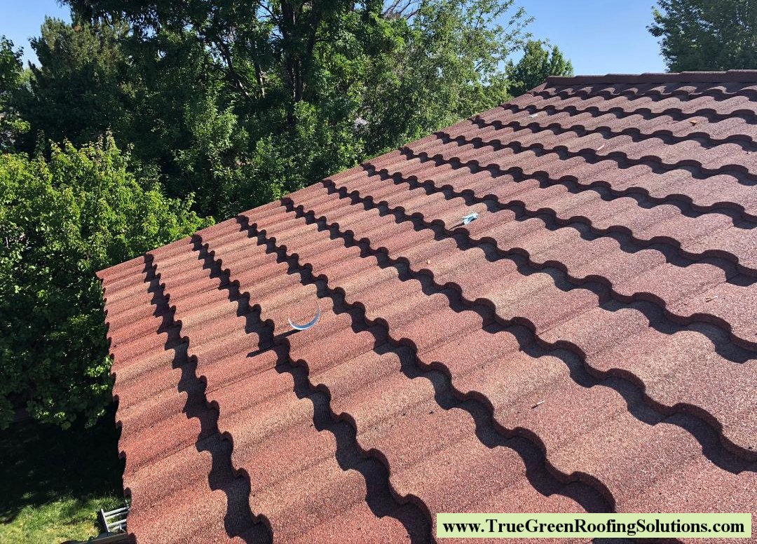 Metal Roofing – You Have Options!